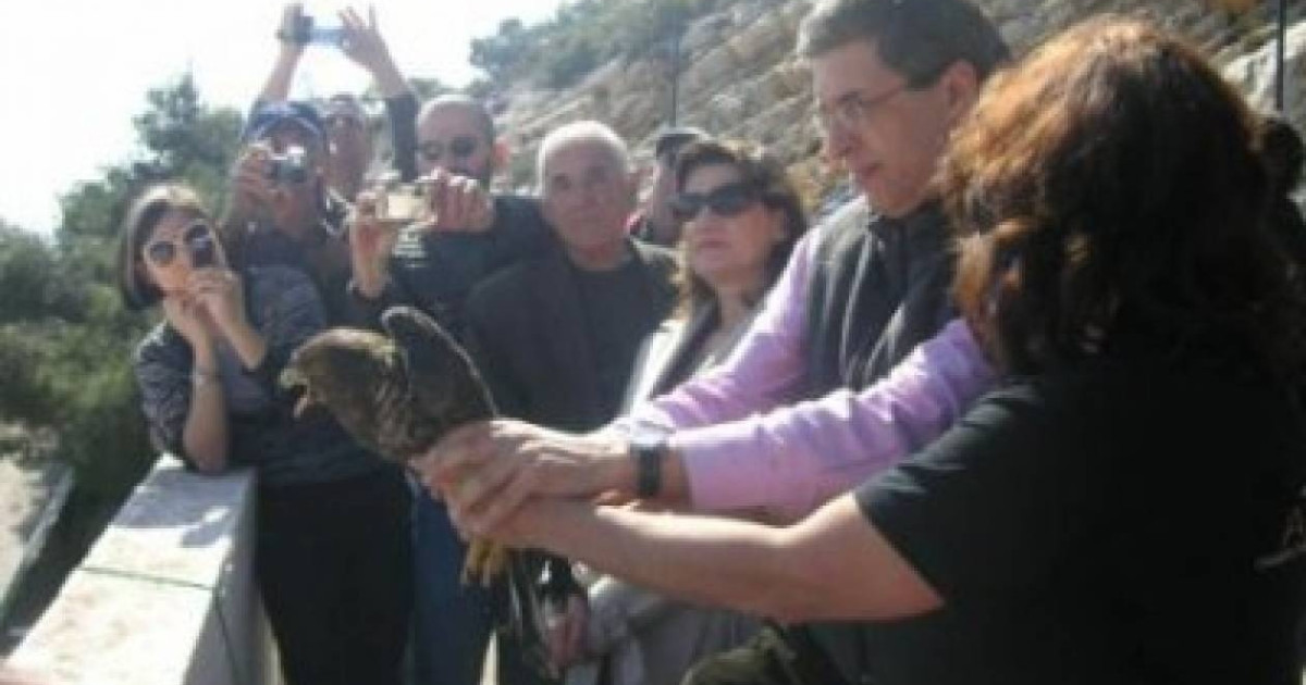 Τα πουλιά πεθαίνουν τραγουδώντας... στην Αθήνα - Newsbomb