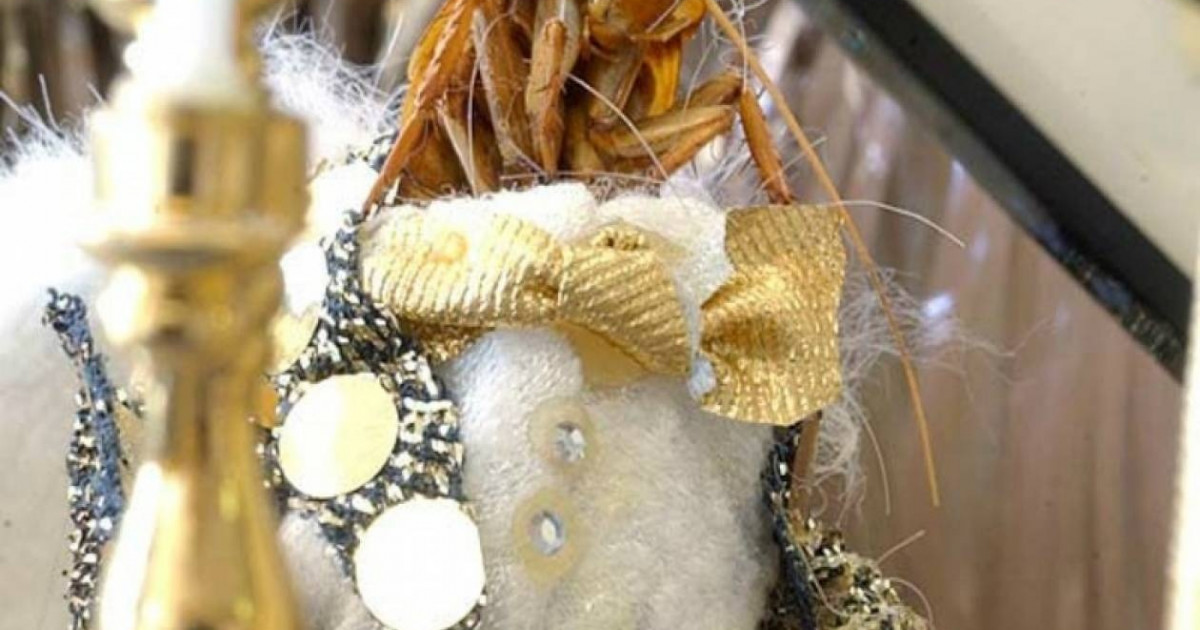 Cockroach Hall: Το πιο... σιχαμερό μουσείο στον κόσμο - Newsbomb