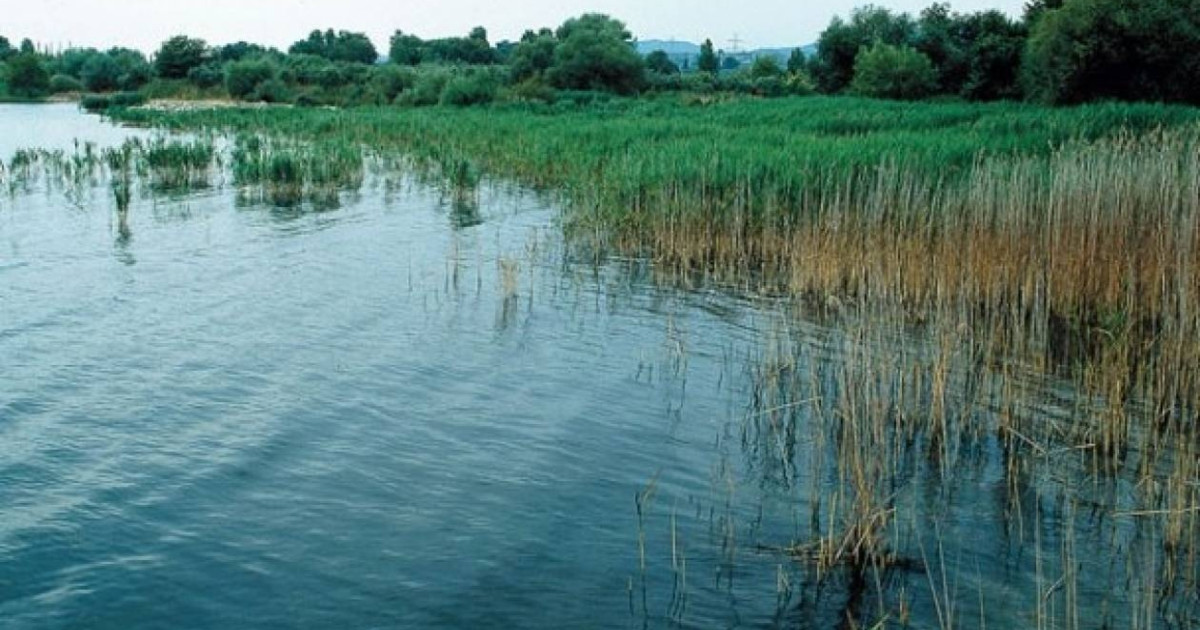 ΦΡΙΚΗ-Τη σκότωσε και την πέταξε στους βάλτους - Newsbomb
