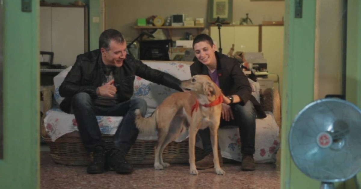 Η γυναικεία ομοφυλοφιλία στους «Πρωταγωνιστές» - Newsbomb