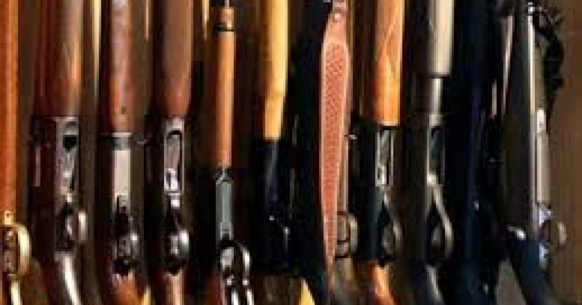 Ζάκυνθος: Χιλιάδες κυνηγετικά όπλα στο νησί - Newsbomb