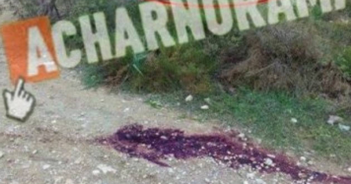 ΠΡΟΣΟΧΗ – ΠΟΛΥ ΣΚΛΗΡΕΣ ΕΙΚΟΝΕΣ - Φωτογραφίες από το άγριο έγκλημα στην ...
