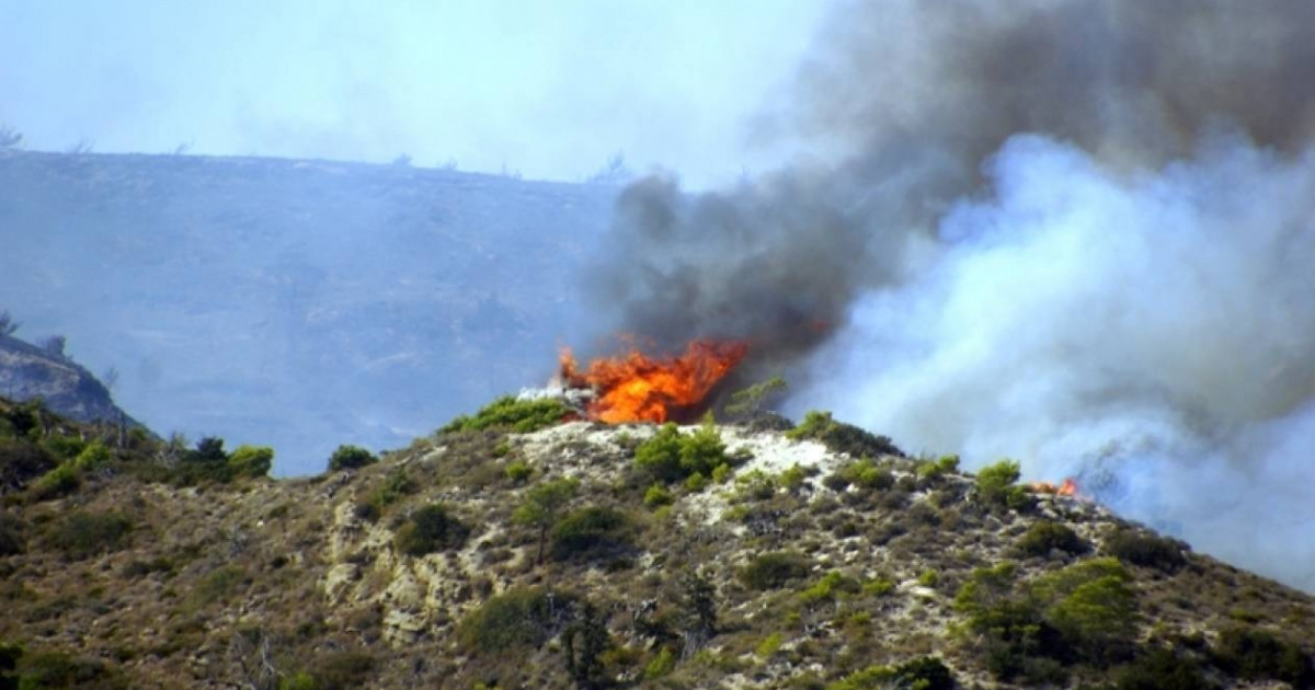 Wildfire in the area of Messara on Crete - Newsbomb