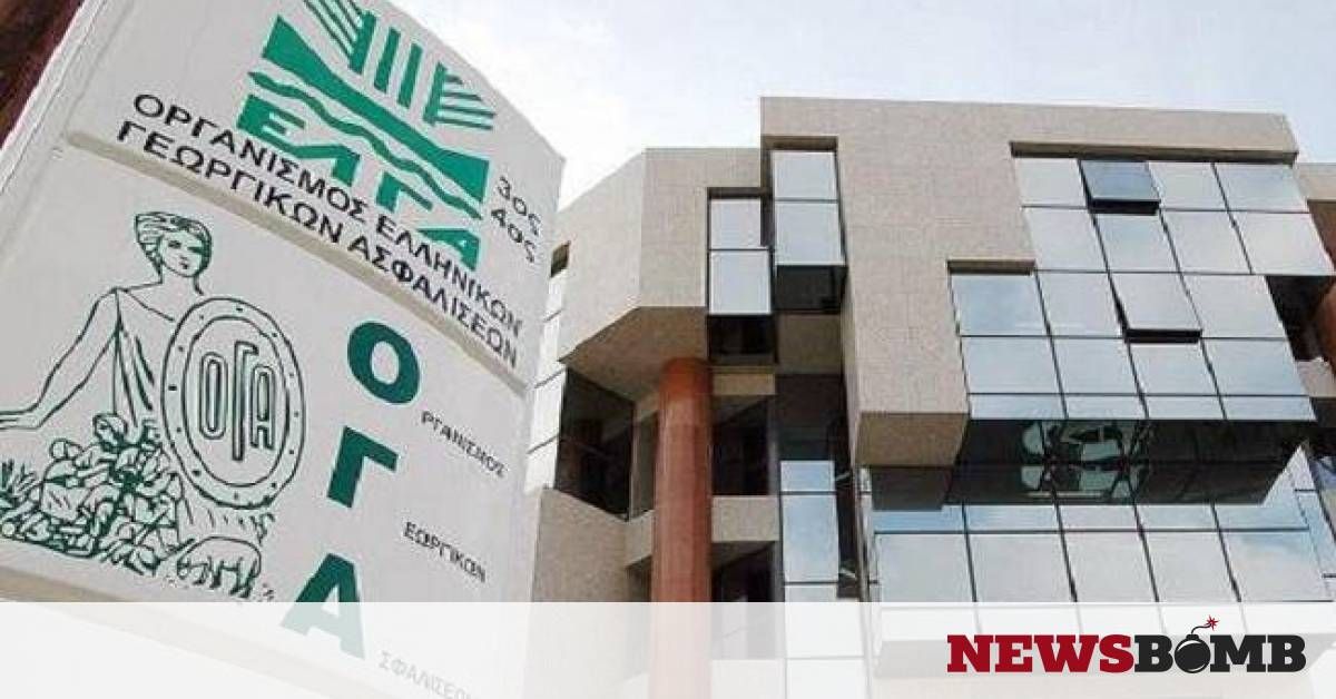 ΟΓΑ: Τι απαντά για τις κατασχέσεις στα οικογενειακά επιδόματα - Newsbomb