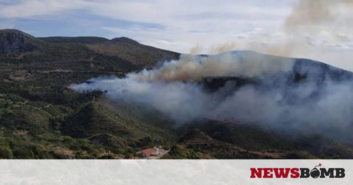 Fire breaks out in Ilia; fires in Cephalonia partially under control ...