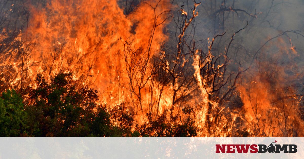 Φωτιά ΤΩΡΑ: Δείτε LIVE που έχει πυρκαγιές σε όλη την Ελλάδα - Newsbomb