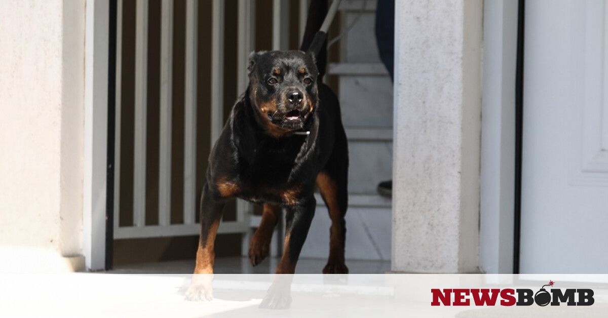 Τραγωδία στα Γλυκά Νερά: Αυτή είναι η αιτία θανάτου του βρέφους - Τι ...