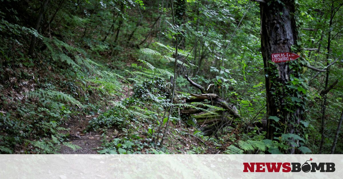 Τραγωδία στον Όλυμπο: Νεκρός ορειβάτης - Newsbomb