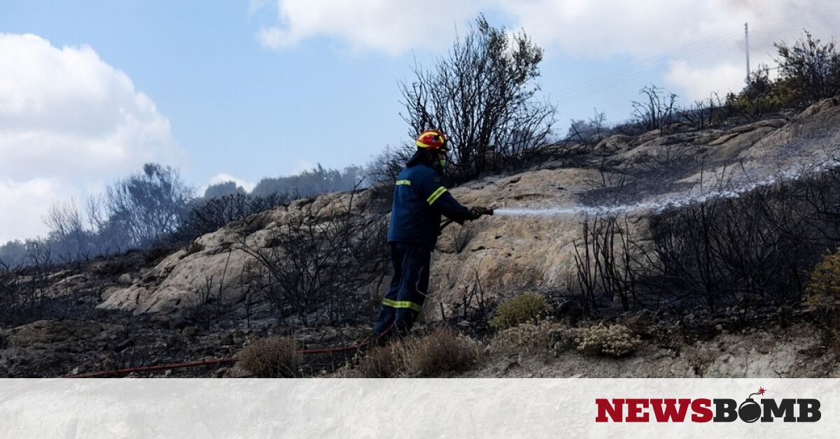 Φωτιά ΤΩΡΑ στην Κάλυμνο - Newsbomb
