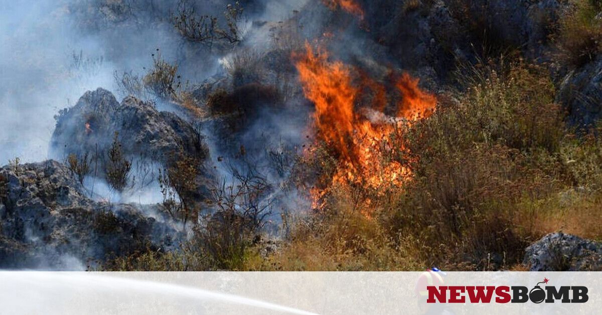Φωτιά ΤΩΡΑ στο Κρυονέρι - Newsbomb