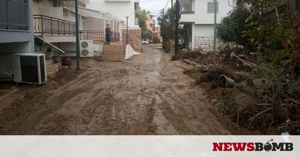 Κακοκαιρία: Εικόνες καταστροφής σε Θάσο και Χαλκιδική - Χείμαροι ...
