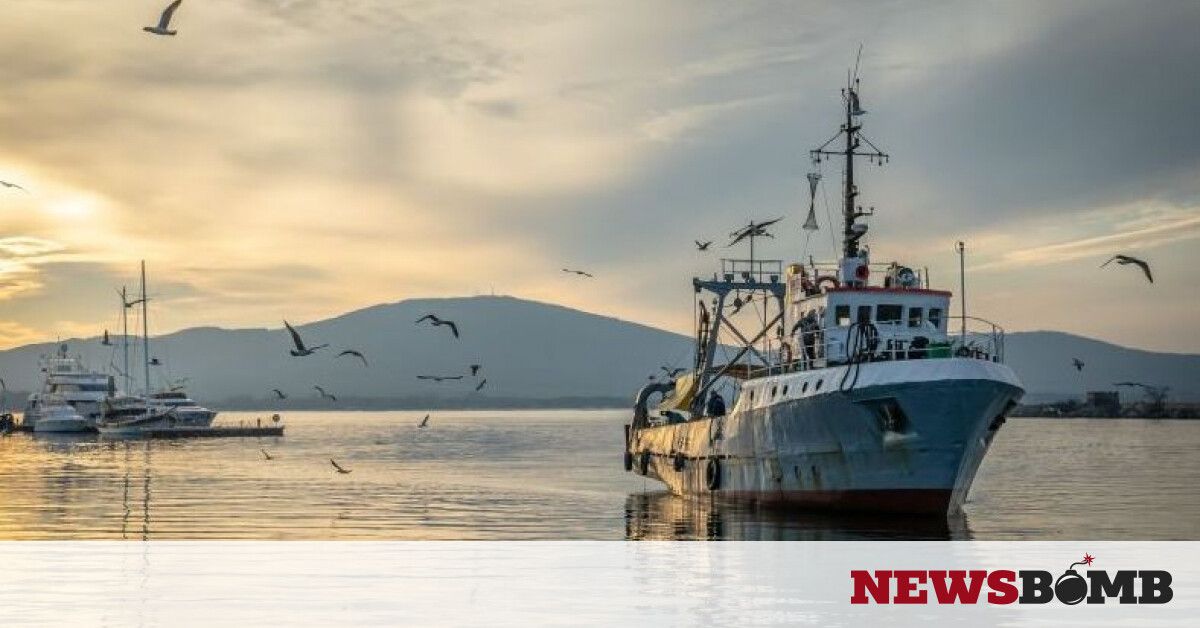 Θρυλική ψαριά: Έβγαλε σφυρίδα 150 κιλών! (pics) - Newsbomb
