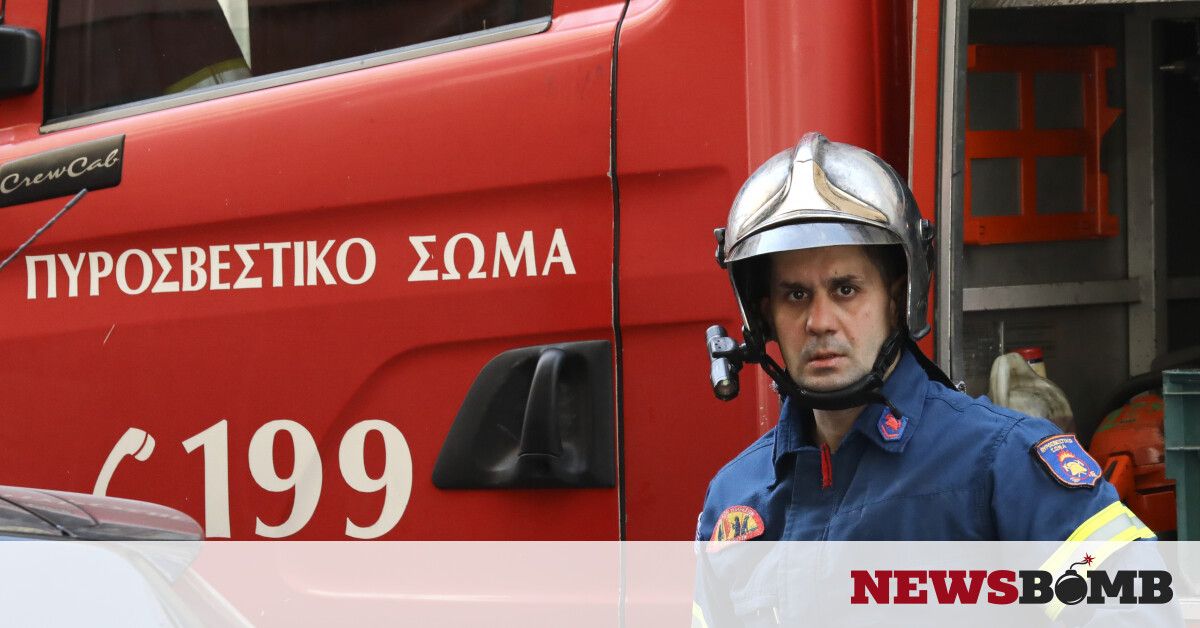 Τραγωδία στη Χαλκιδική: Βρέθηκε νεκρή η 69χρονη αγνοούμενη - Newsbomb