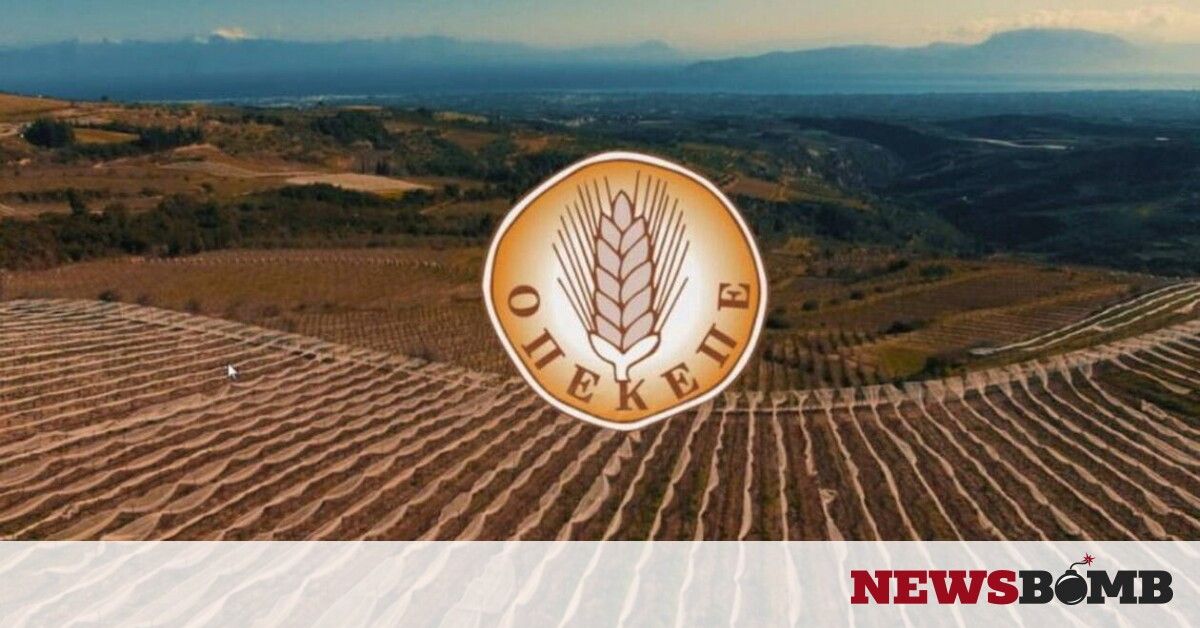 ΟΠΕΚΕΠΕ: Πώς θα γίνει η υποβολή δηλώσεων για την ενιαία αίτηση ...