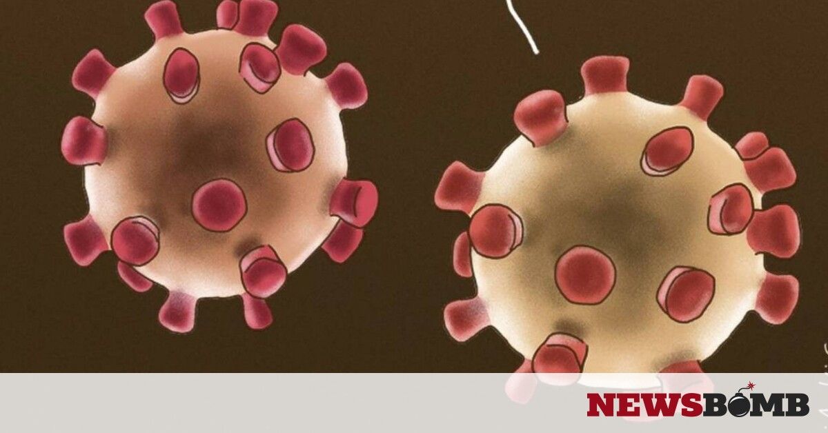 Αρκάς: Ο κορονοϊός στην Ελλάδα - «Μας τα είχαν πει αλλιώς» - Newsbomb