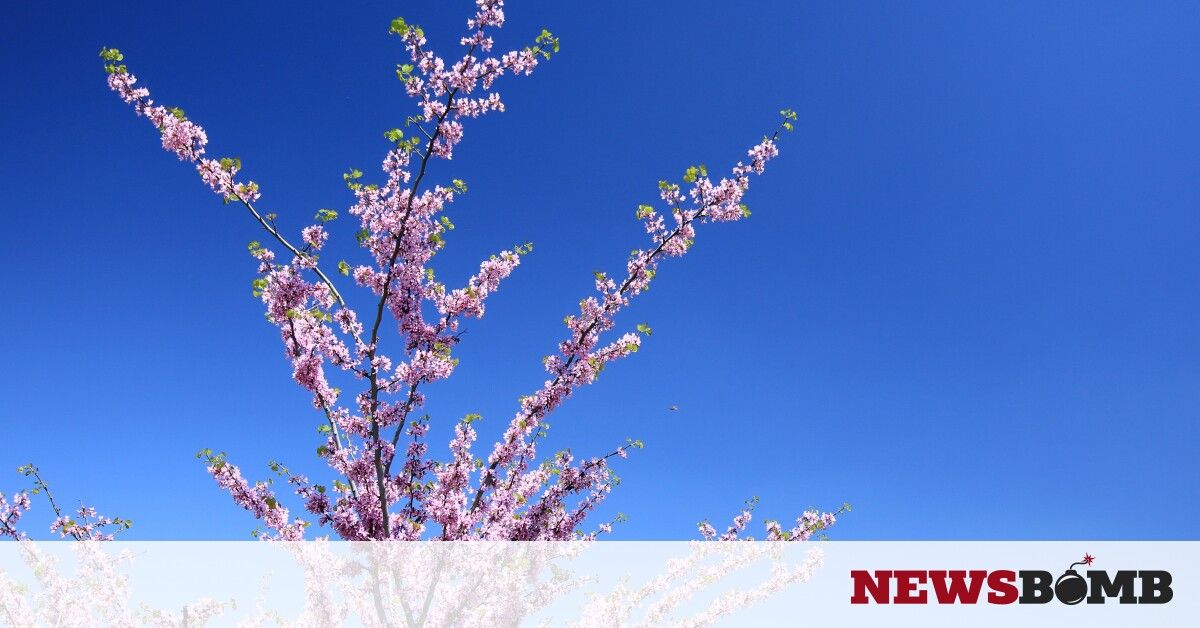 Καιρός: Στους 26-27 βαθμούς έφτασε η θερμοκρασία - Πού θα φτάσει ο ...