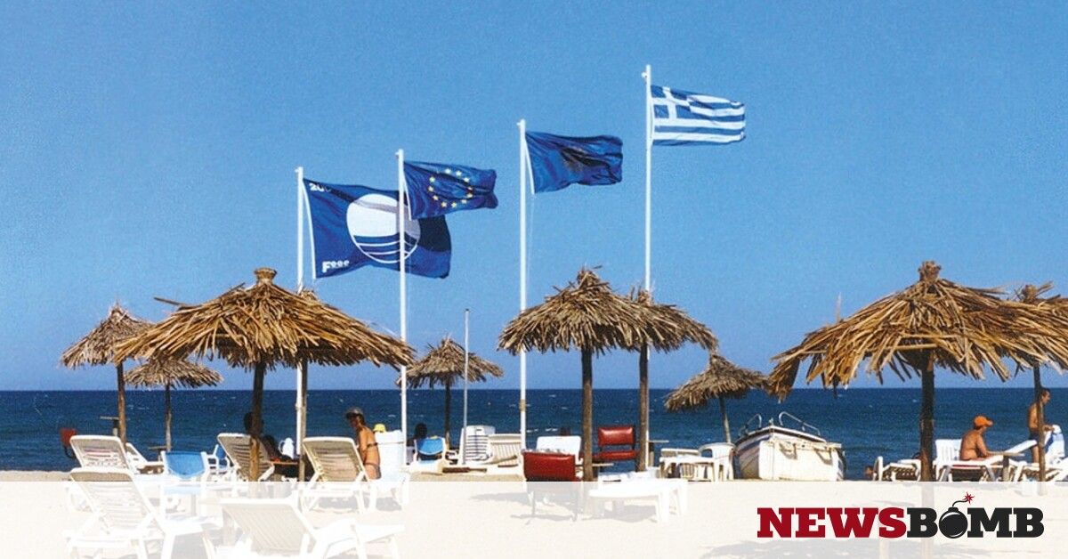 Γαλάζια Σημαία 2020: Ο Ελληνικός Ερυθρός Σταυρός στην εθνική επιτροπή ...