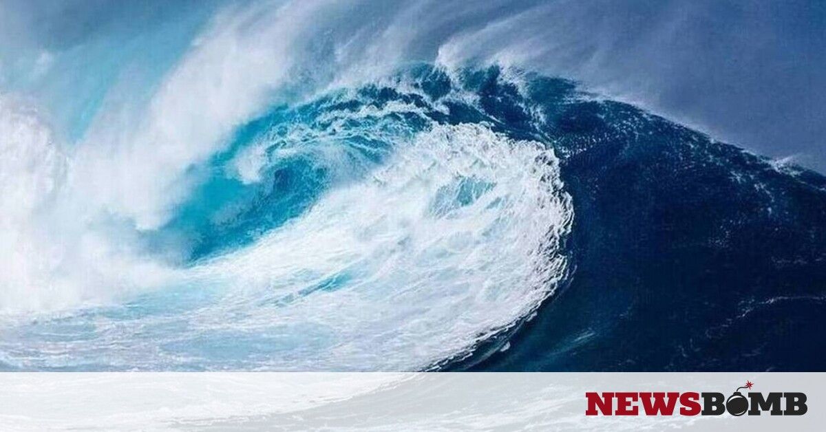 Τρόμος για ψαράδες! Δείτε τι έβγαλαν από τη θάλασσα (pics) - Newsbomb