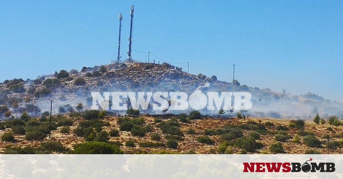 Φωτιά ΤΩΡΑ στη Βάρη - Εκκενώθηκαν τα Παιδικά χωριά SOS - Newsbomb