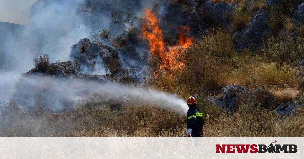 Άγιος Νικόλαος: Μεγάλη πυρκαγιά σε δασική έκταση - Επιχειρούν 60 ...