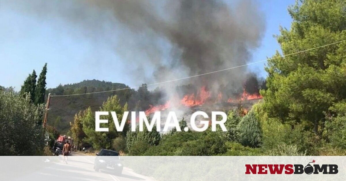 Μεγάλη φωτιά στην Εύβοια - Κοντά σε σπίτια οι φλόγες - Newsbomb