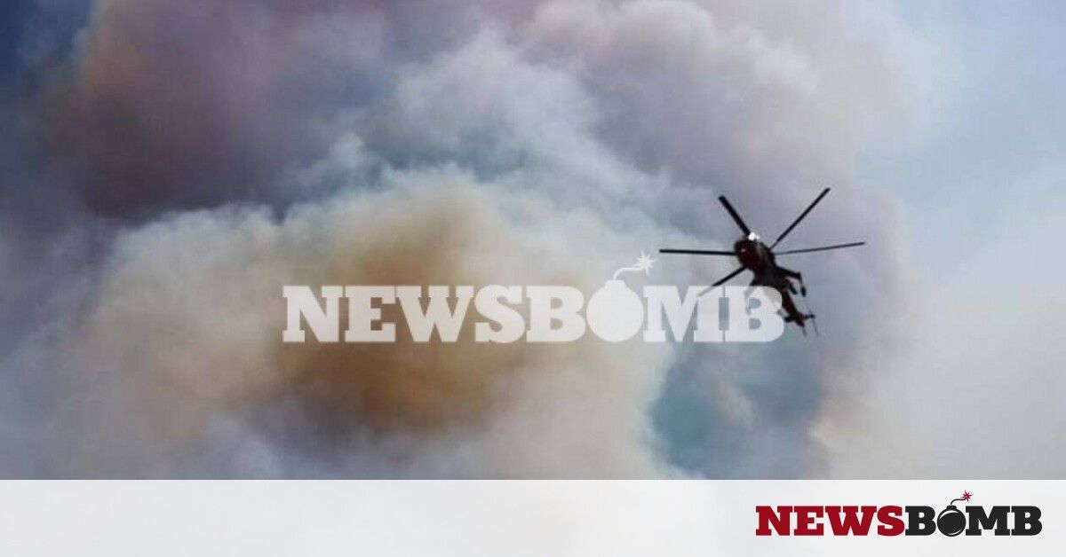 Φωτιά στη Μάνη: Ενεργοποιήθηκε το προγνωστικό σύστημα IRIS - Newsbomb