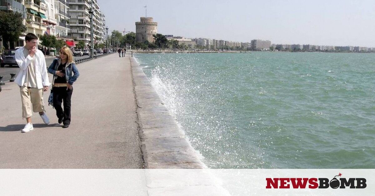 Θεσσαλονίκη: «Πήδημα θανάτου» για δεκάδες σαρδέλες στην παραλία - Newsbomb