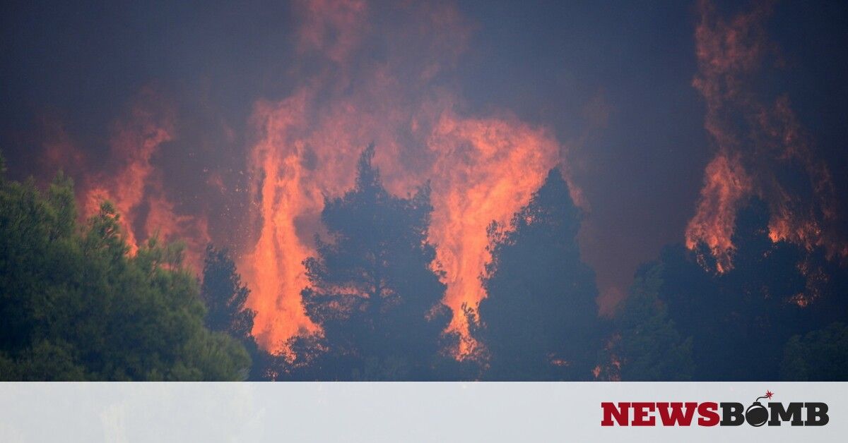 Φωτιά στην Κορινθία: Στις φλόγες το Σοφικό - Εκκενώνονται οι τρεις ...