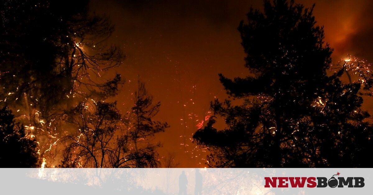 Φωτιά ΤΩΡΑ στον Έβρο: Πύρινο μέτωπο 3 χιλιομέτρων στην περιοχή Νίψας ...