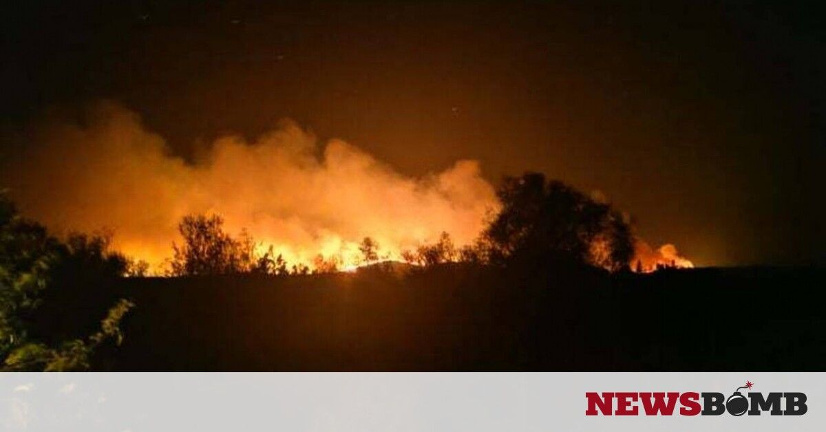 Στον Έβρο κλιμάκιο της Διεύθυνσης Αντιμετώπισης Εγκλημάτων Εμπρησμού ...