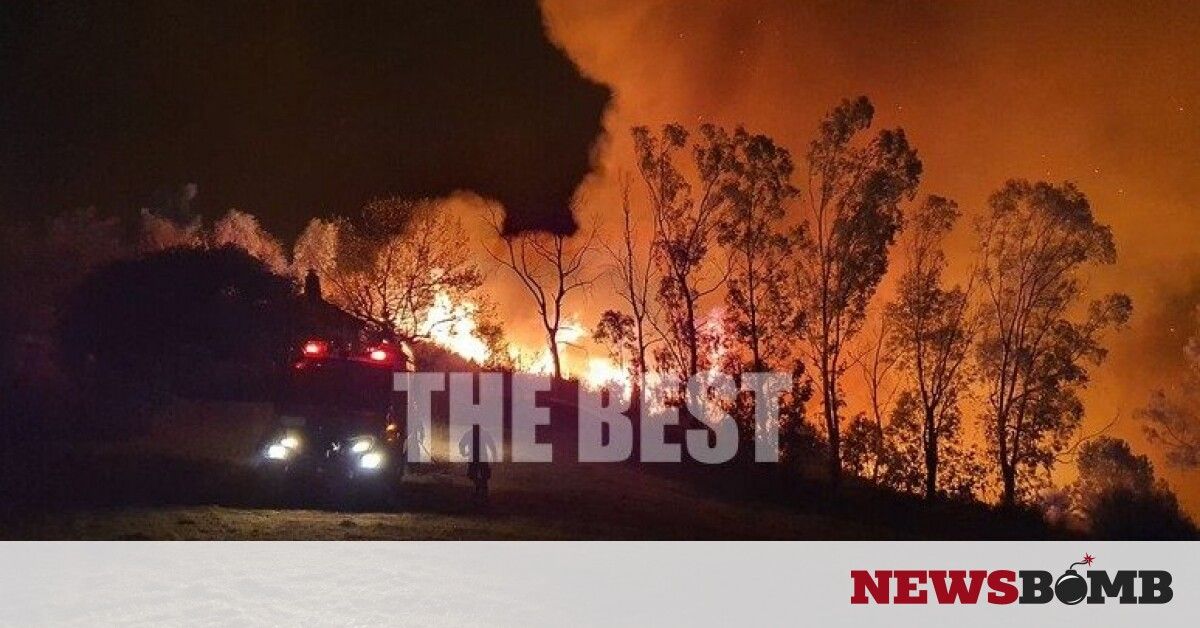 Φωτιά στην Πάτρα: Νύχτα - «θρίλερ» στα Συχαινά - Απειλήθηκαν σπίτια ...