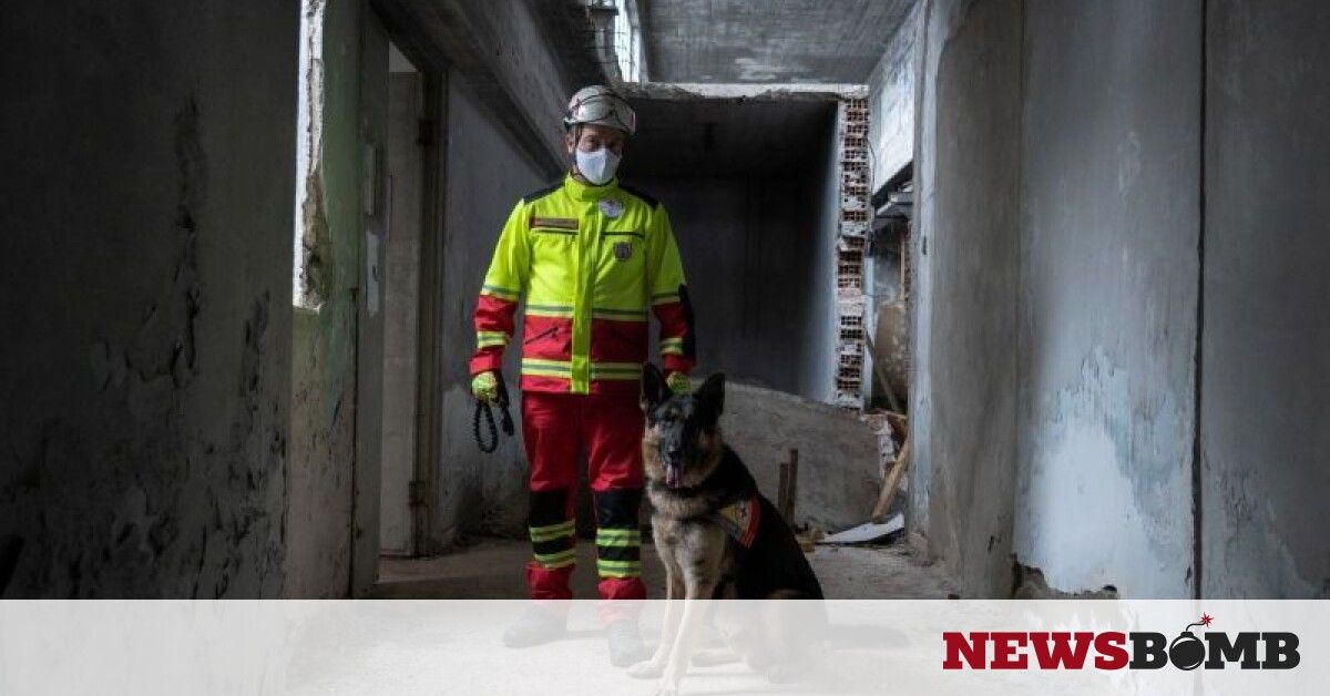 Επανεκκίνηση της κυνοφιλικής ομάδας έρευνας και διάσωσης του Ελληνικού ...
