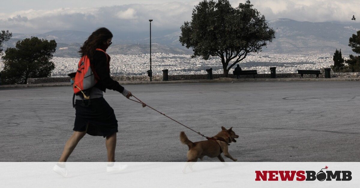 Βγάζεις βόλτα το σκύλο χωρίς λουρί; Δες τι πρόστιμο θα φας - Newsbomb