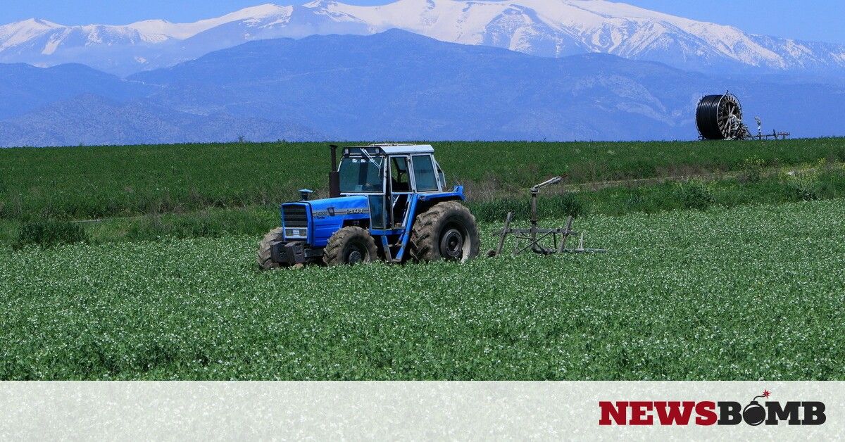 Αγρoτικά: Σε λειτουργία η υπηρεσία έκδοσης βεβαίωσης Επαγγελματία ...