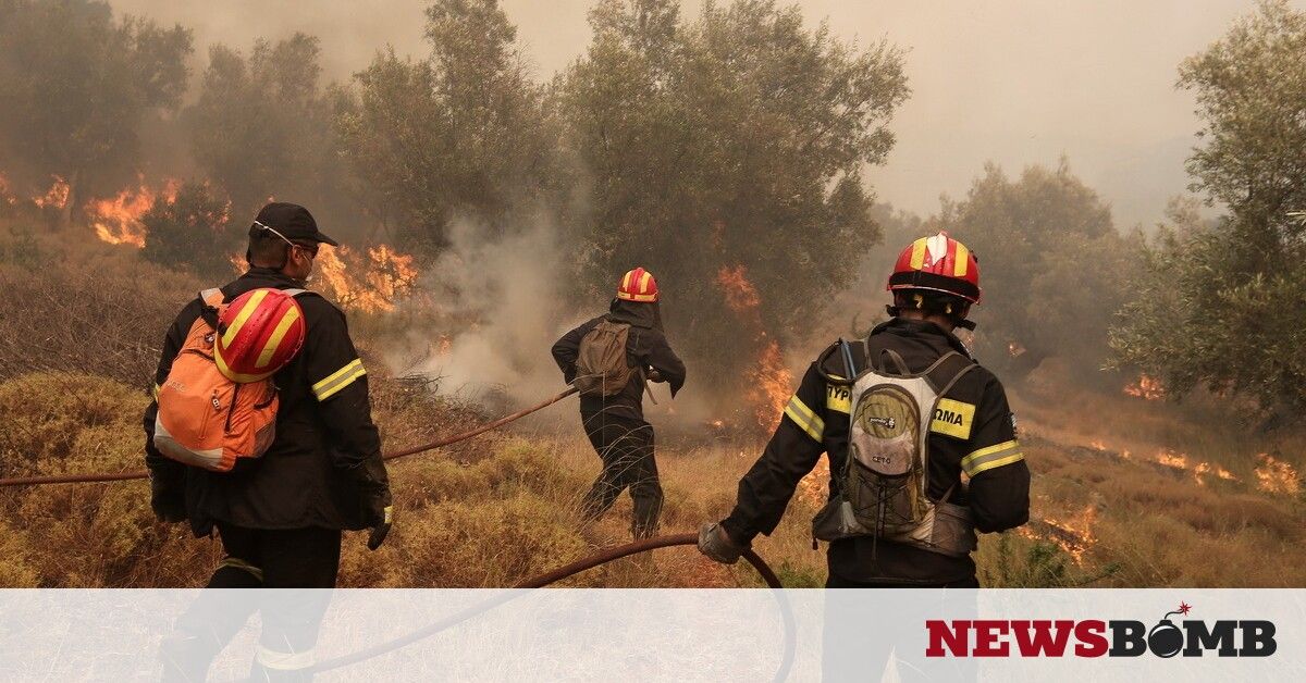 Ξεκίνησε η αντιπυρική περίοδος: Τι πρέπει να προσέξετε - Οδηγίες από ...