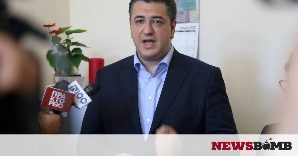 Στη Διάσκεψη για το Μέλλον της Ευρώπης στο Στρασβούργο, ο Απόστολος ...