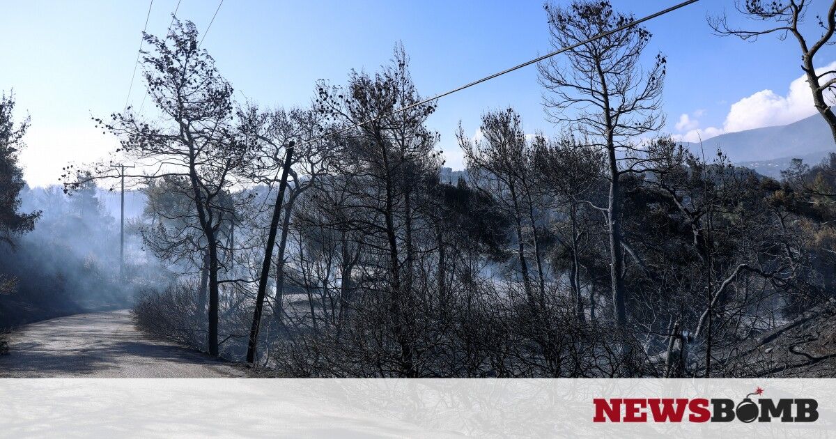Φωτιά στα Γεράνεια Όρη: Ξεκινάει η αποτίμηση της καταστροφής - Πώς θα ...