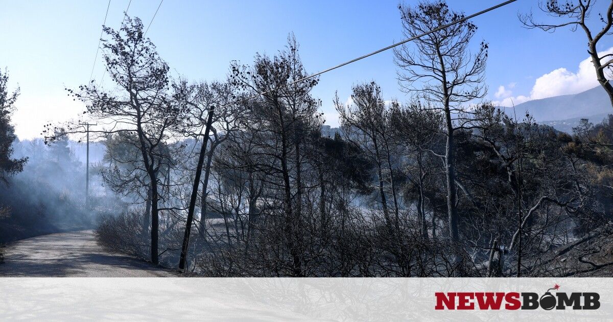Φωτιά Γεράνεια Όρη: Στάχτη 71.000 στρέμματα - Εικόνες απόλυτης ...
