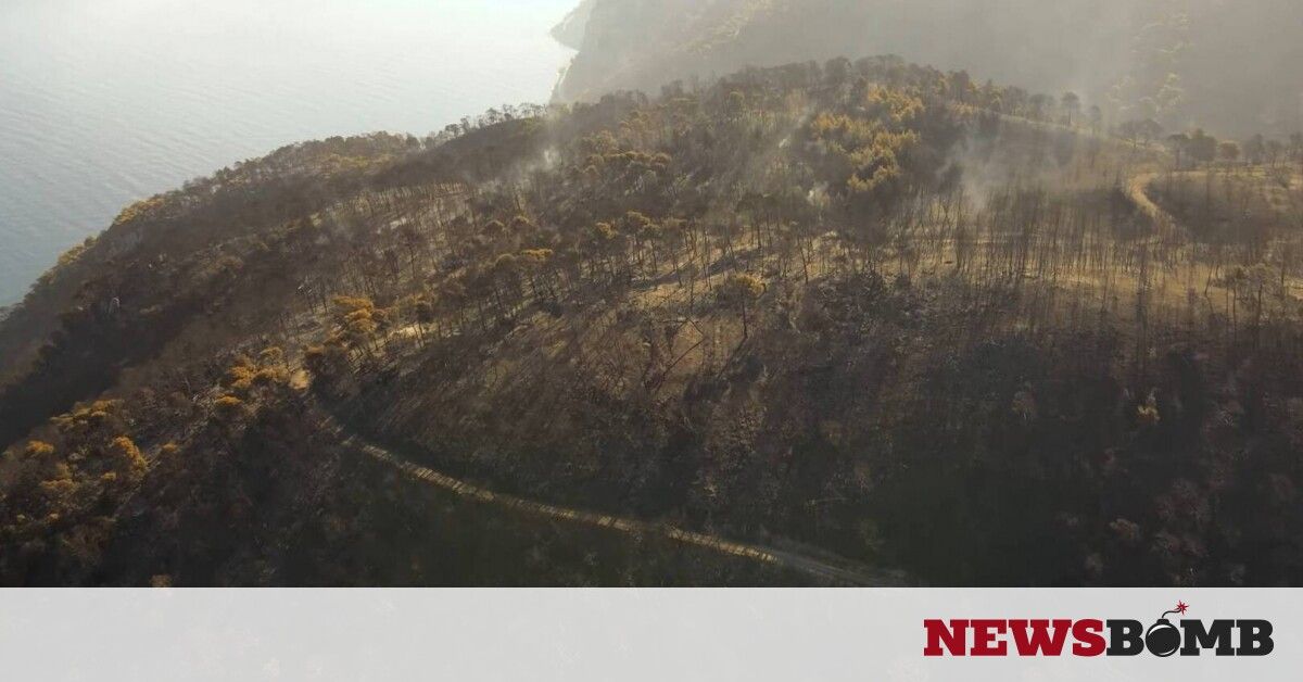 Φωτιά στα Γεράνεια Όρη: Βίντεο γροθιά στο στομάχι - Το Αλεποχώρι πριν ...