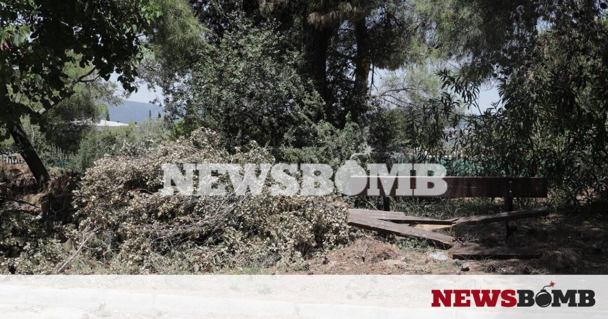 Ρεπορτάζ Newsbomb.gr στο Δήμο Κηφισιάς: Εικόνες ντροπής από τα σπασμένα ...