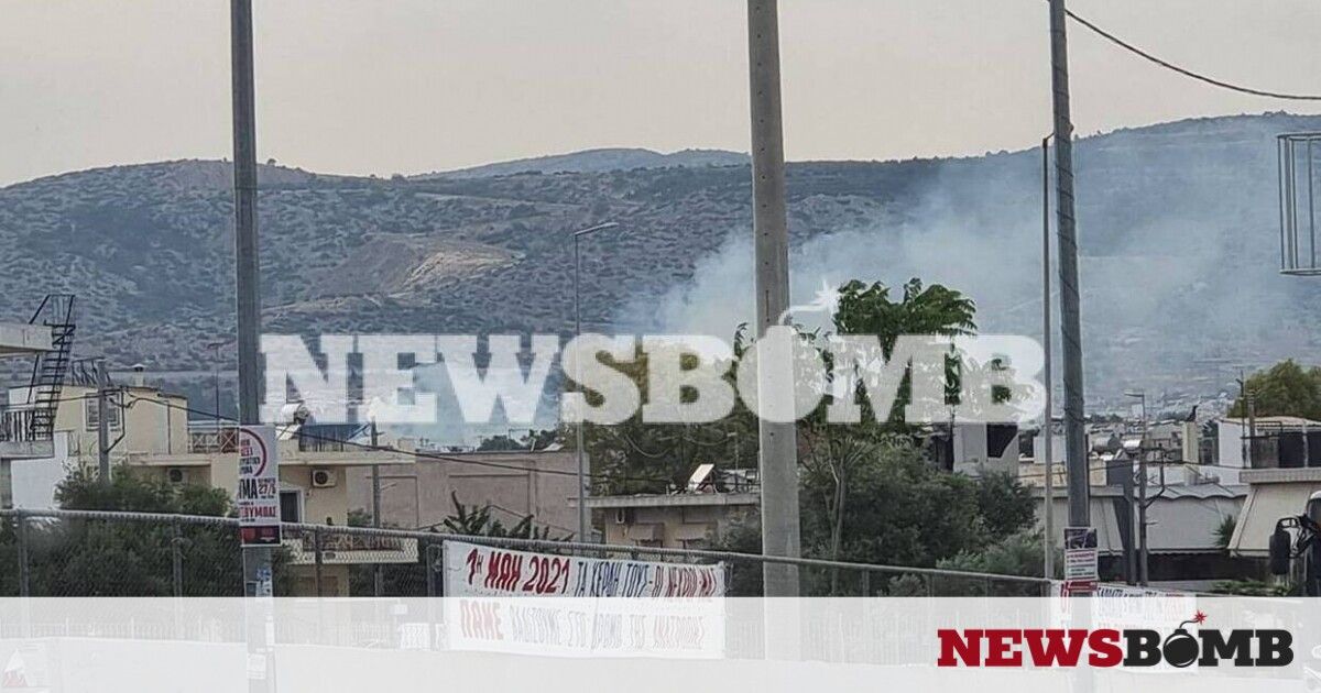 Φωτιά ΤΩΡΑ στα Άνω Λιόσια - Newsbomb