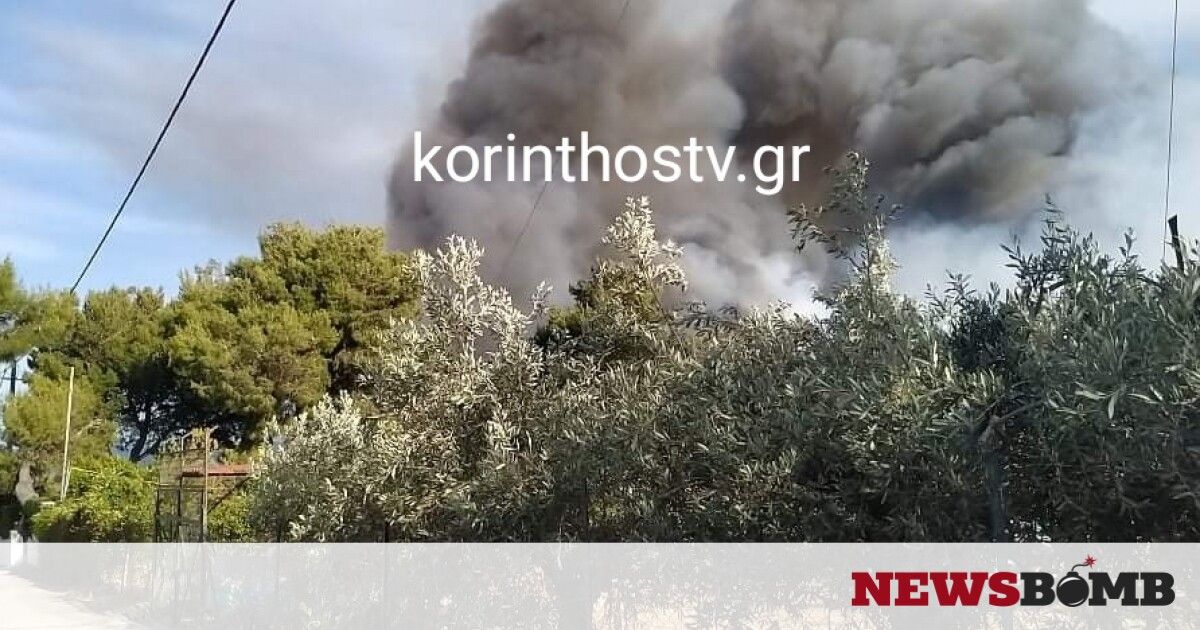 Φωτιά ΤΩΡΑ στην περιοχή Καλαμάκι Κορινθίας – Δεν υπάρχει άμεσος ...