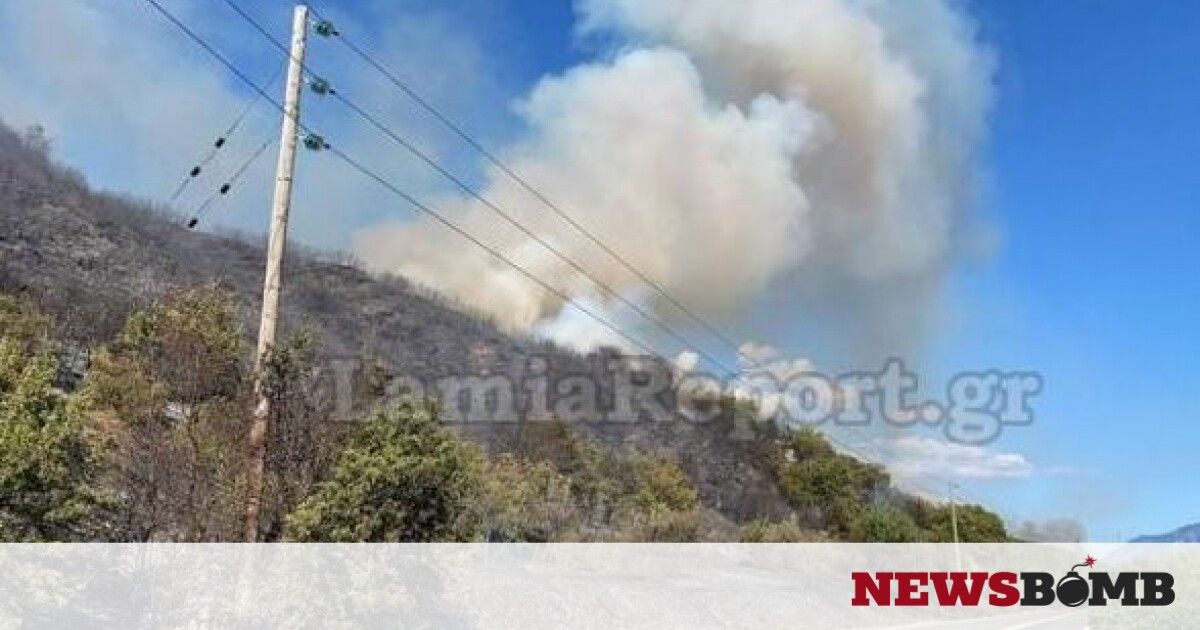 Φωτιά στη Φθιώτιδα: Απειλούνται σπίτια - Διακοπή της κυκλοφορίας στην ...