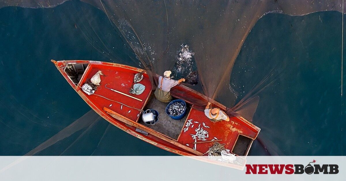 Υπουργείο Αγροτικής Ανάπτυξης και Τροφίμων: Νέα κατηγορία στις ...