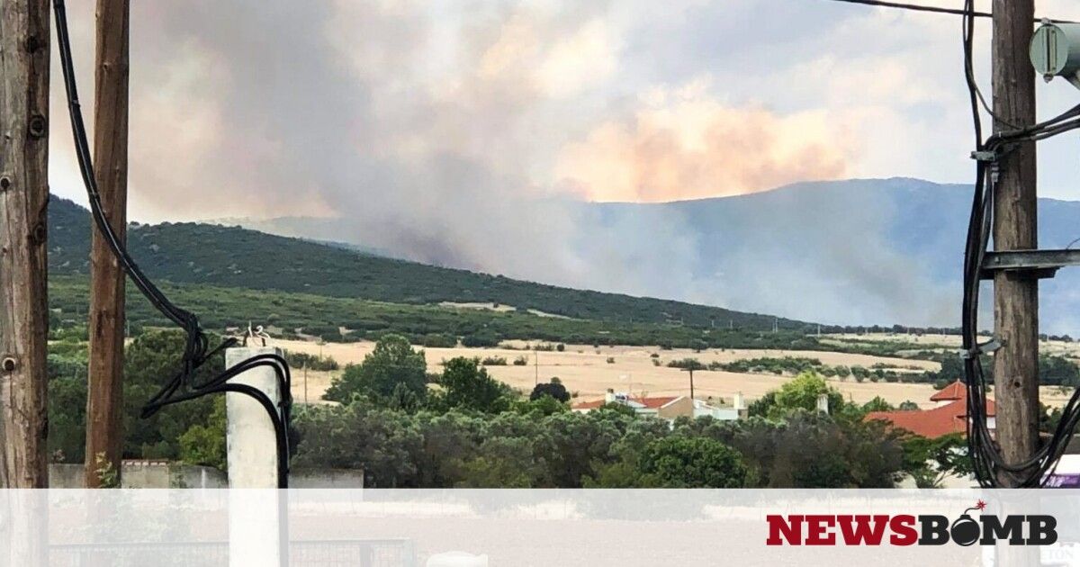 Φωτιά στη Θέρμη Θεσσαλονίκης - Μεγάλη κινητοποίηση της Πυροσβεστικής ...