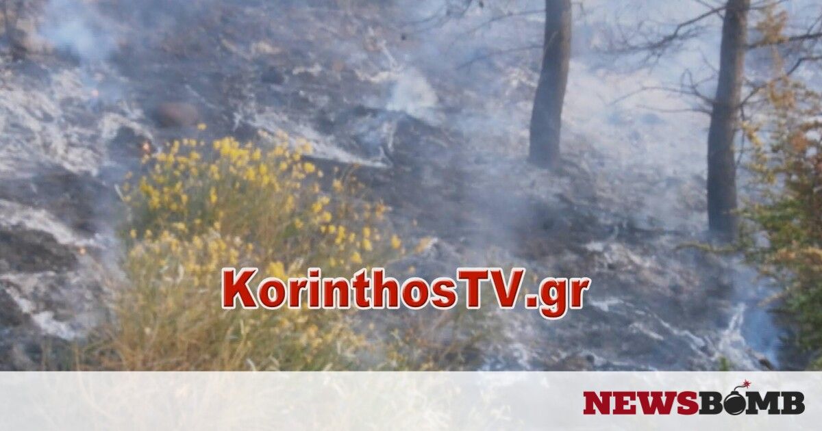 Φωτιά ΤΩΡΑ σε ξερά χόρτα στην Κόρινθο κοντά στις γραμμές του ...