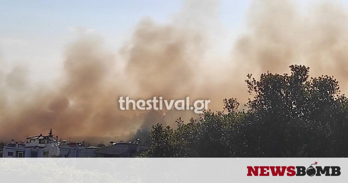Θεσσαλονίκη: Φωτιά ΤΩΡΑ στην Πυλαία - Κοντά σε σπίτια οι φλόγες - Newsbomb