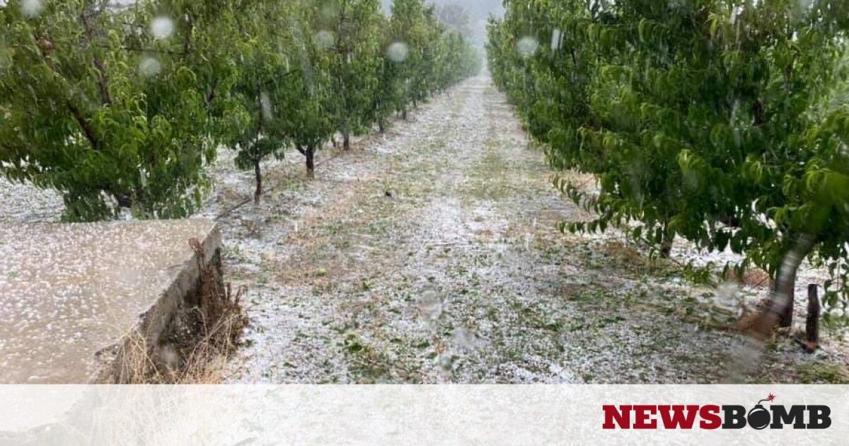 Κοζάνη: Καταστροφική χαλαζόπτωση στο Βελβεντό - Ζημιές στις ...