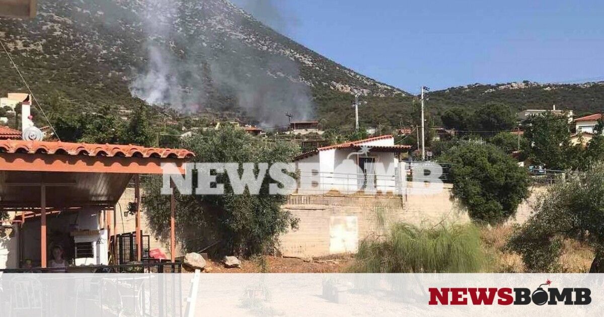 Φωτιά ΤΩΡΑ στη Θήβα - Newsbomb