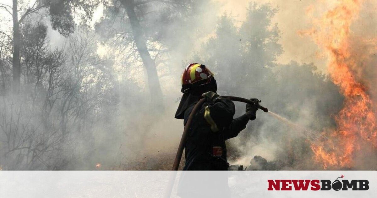Συναγερμός στην πυροσβεστική: Τρία πύρινα μέτωπα στην Κρήτη - Newsbomb